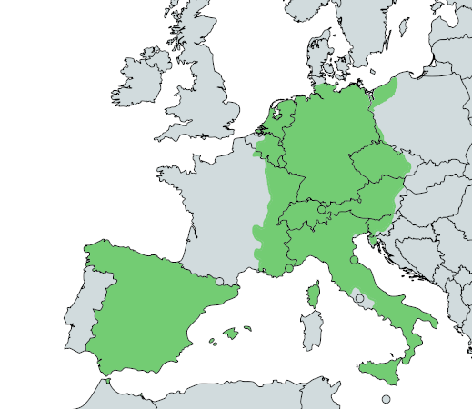 Disputa de sucesión del trono Imperial del Sacro Imperio Romano ...